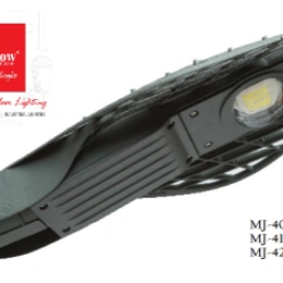 Inglow COD LED Street Light