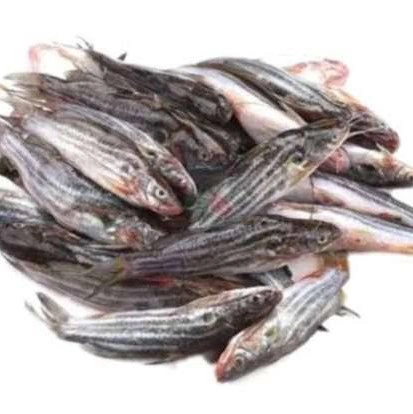 Tangra Mach ( Local ) - Fresh Fish