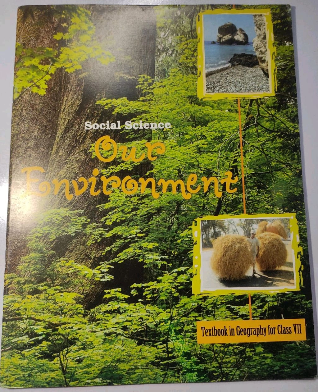 NCERT Class 7 Social Science Our Environment