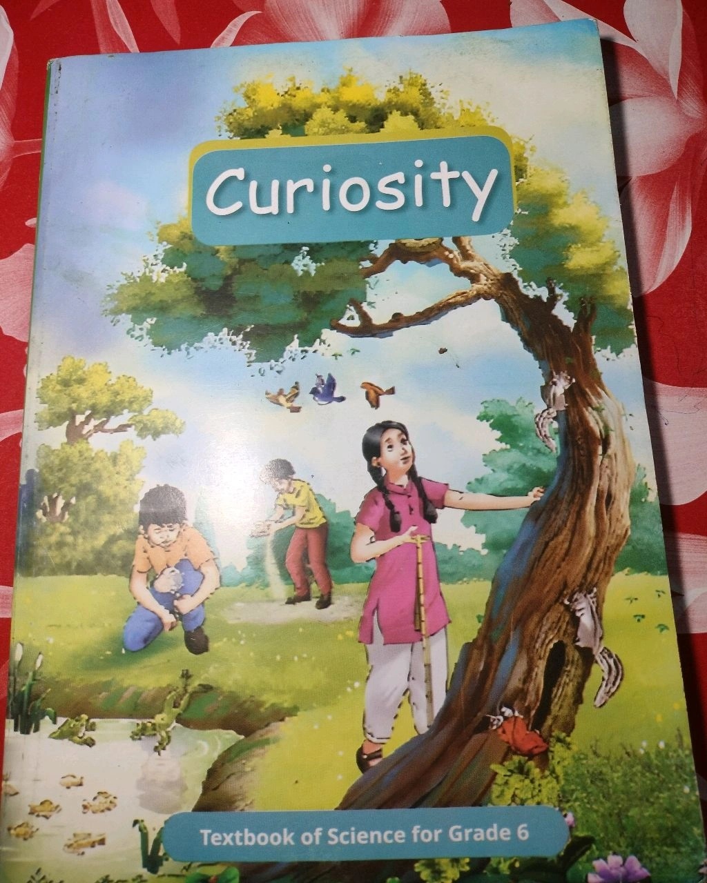 NCERT Class 6 Science Curiosity