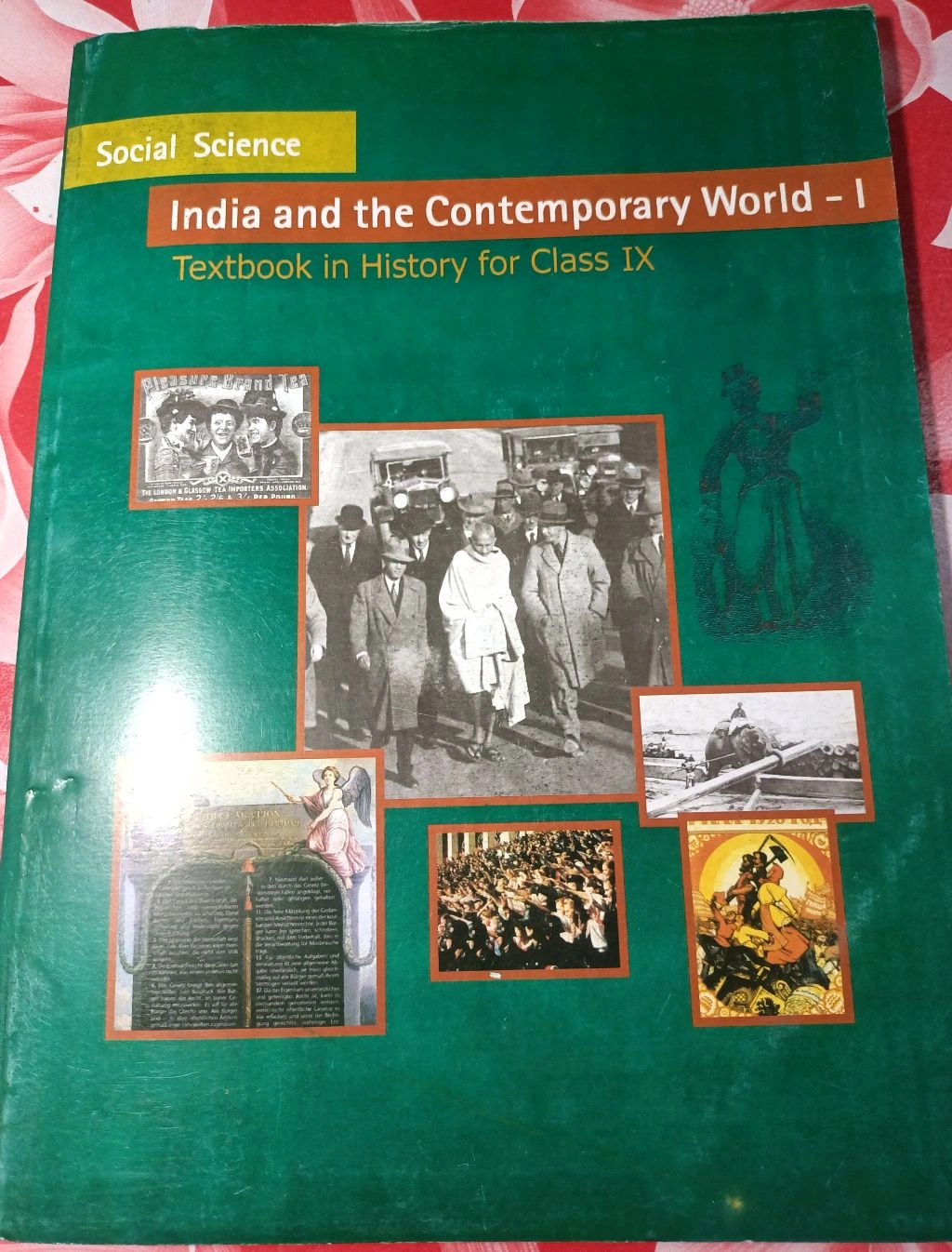 NCERT Class 11 History Social Science India And The Contemporary World