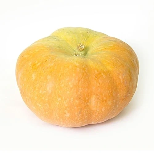 Pumpkin Yellow (Sitaphal)