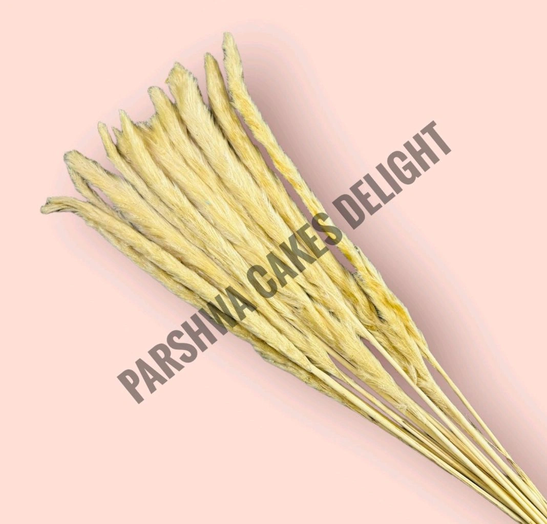 Pampas Grass Stick