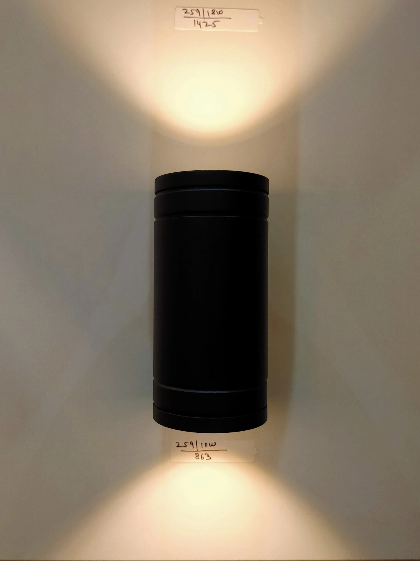 LX259 10W Up Down Wall Washer Led light